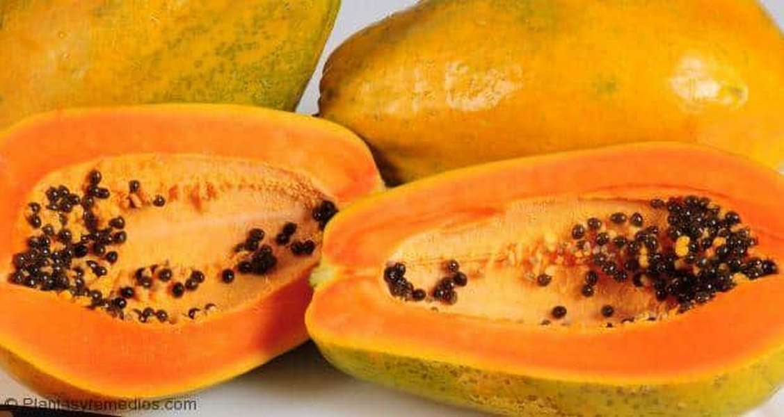 Aquí Te Tenemos 5 Razones Por Las Que Debes Comer Papaya Si Eres ...